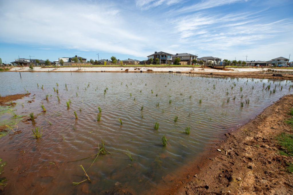 Monument Wetlands and Park Update March 2023 |Monument Plumpton